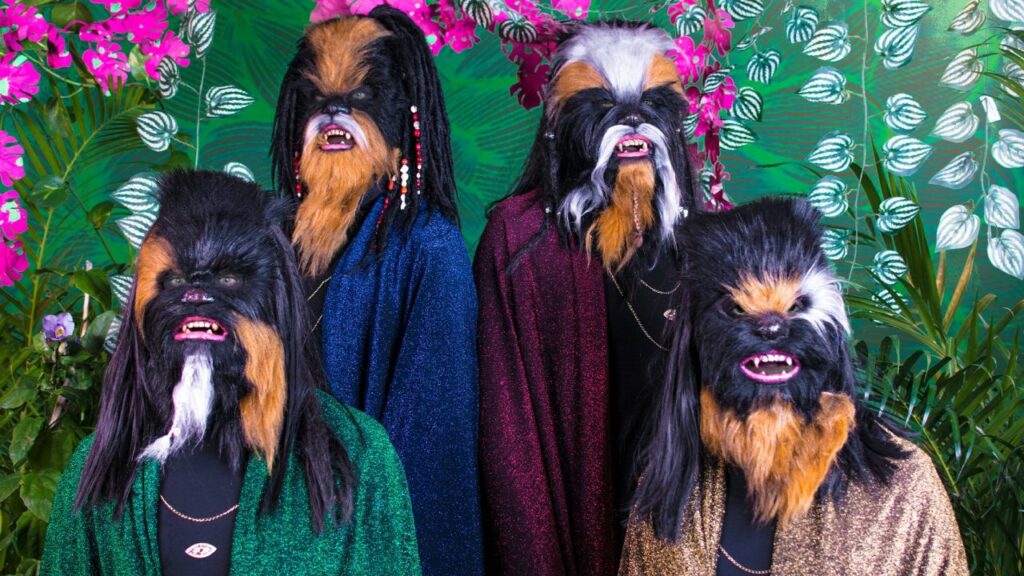 ¿Quiénes son The Wookies? La banda inspirada en Star Wars