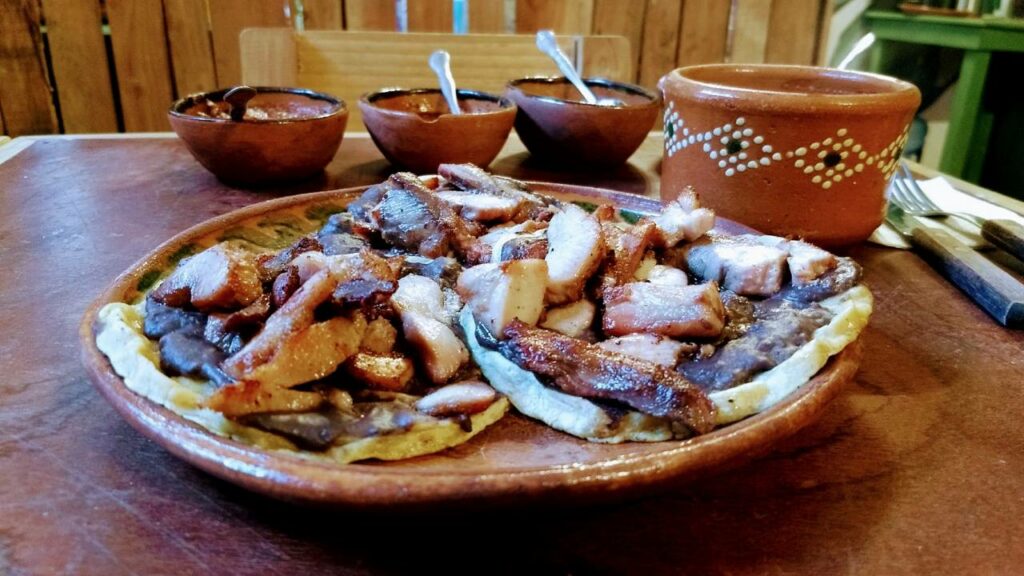 Carne de Chango: El platillo exótico de Veracruz - Convoy Network